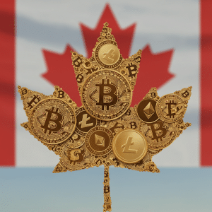 Top 10 Countries That Use Bitcoin the Most in 2025